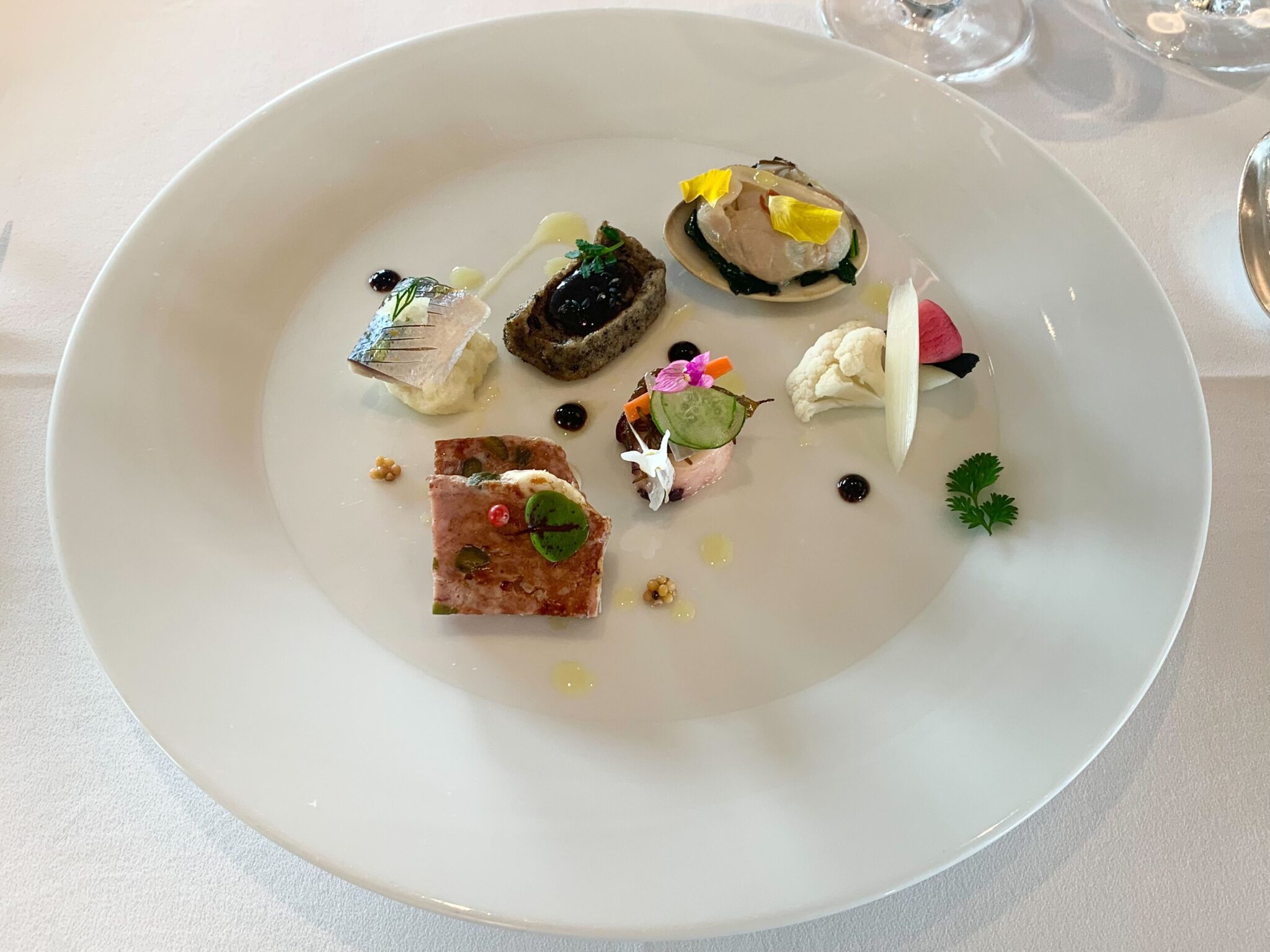 株式会社 ZENB JAPAN おいしさ、健康、サステナブルを叶える「ZENB（ゼンブ）」シリーズの魅力 食の企業の最前線5 25年2月号 - 料理王国